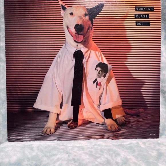 Media | Working Class Dog Vinyl Record By Rick Springfield | Poshmark